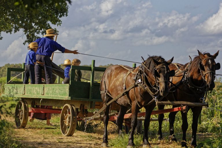 Southern Tennessee Amish Map - Amish of Ethridge