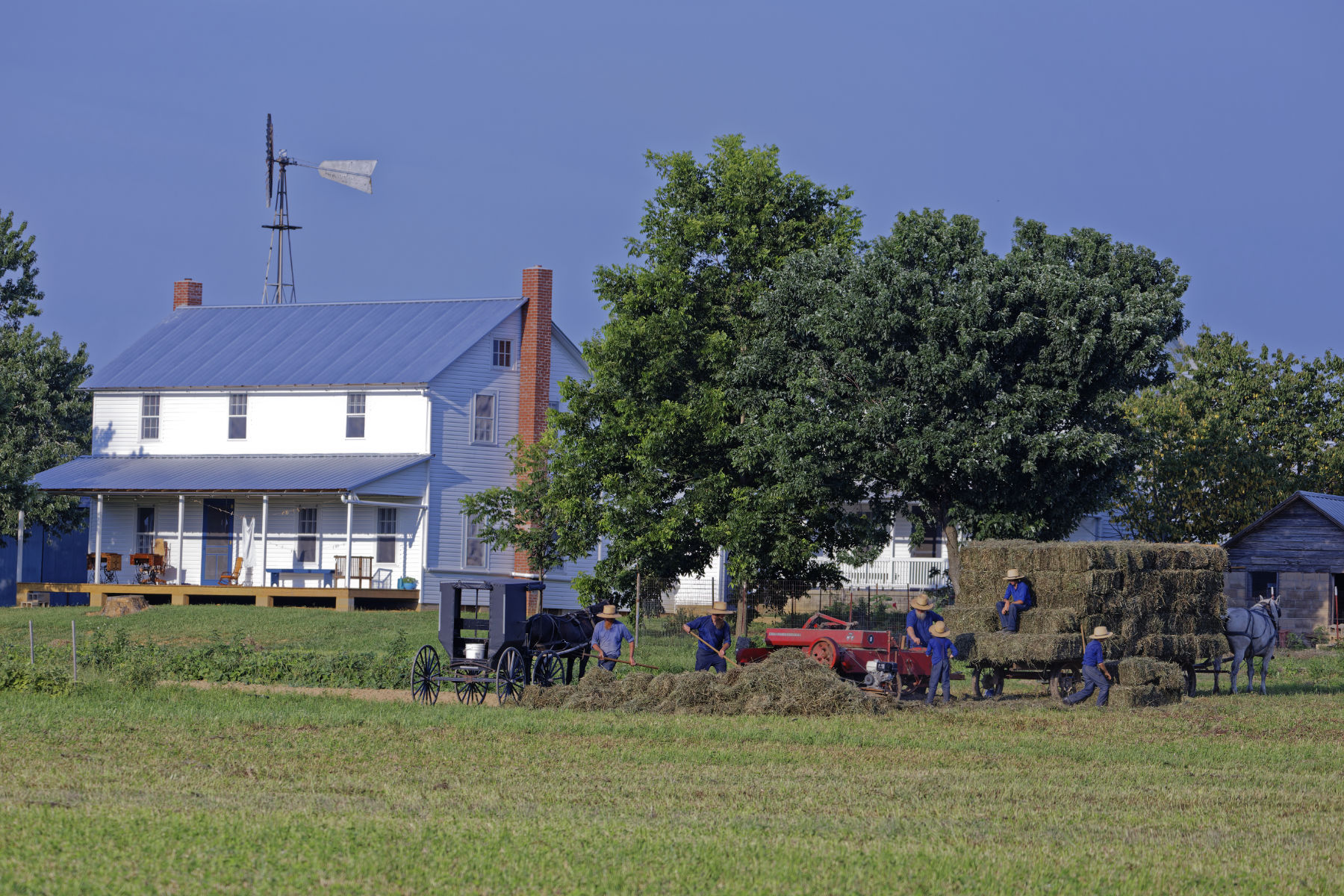Amish Advice Page Amish Of Ethridge Amish Advice Page Amish Of Ethridge