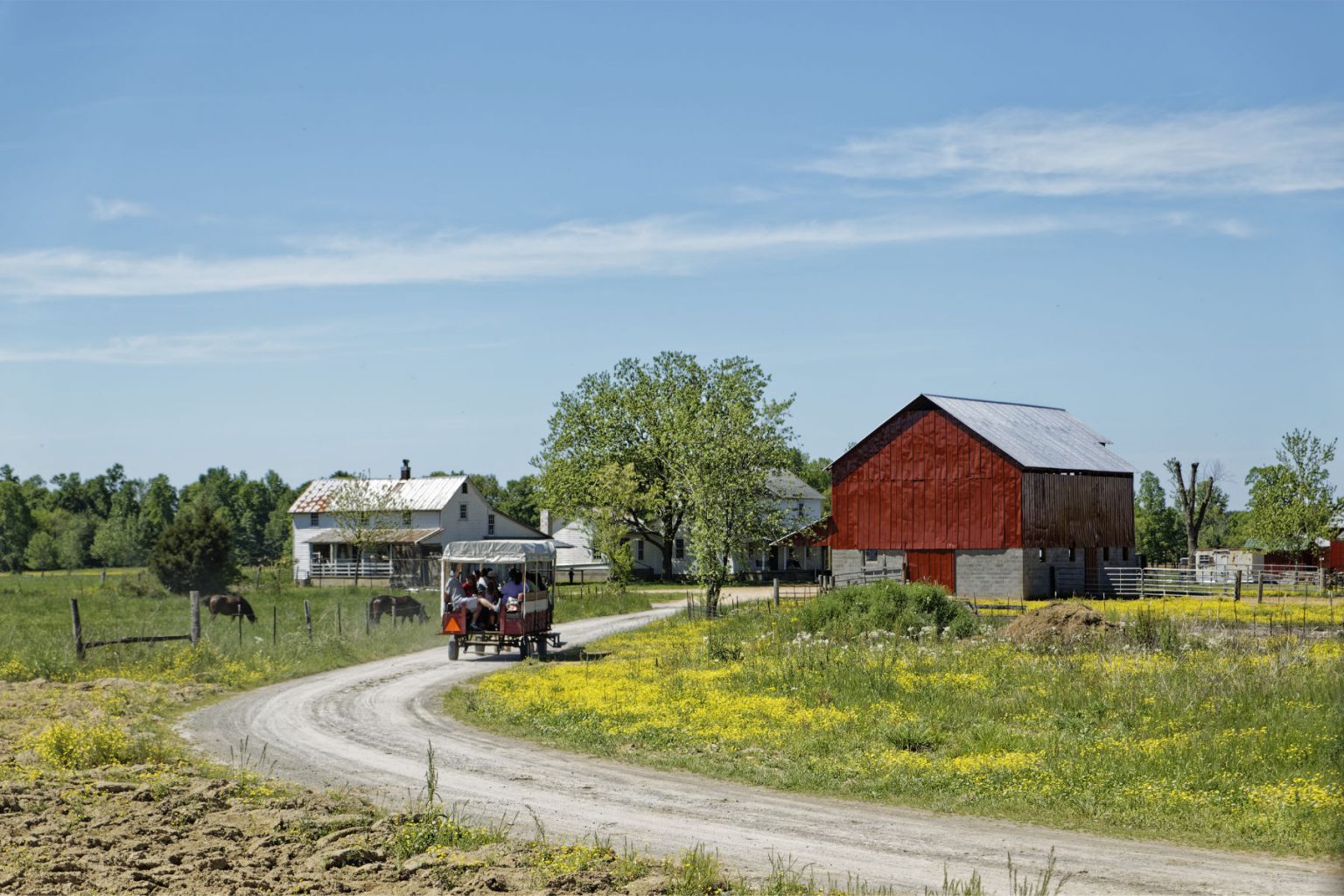 Home Amish Of Ethridge Home Amish Of Ethridge