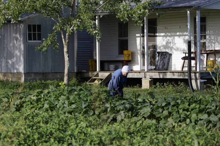 About the Amish in Ethridge, TN! - Amish of Ethridge
