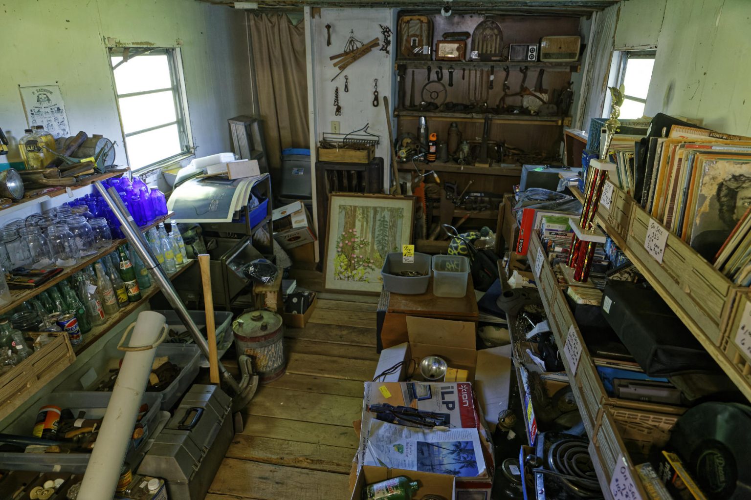 Dilly Dally - Amish of Ethridge