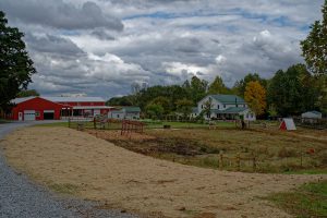 Amish in Tennessee - Amish of Ethridge