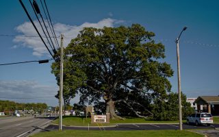 Morrison McMinnville Amish - Amish of Ethridge