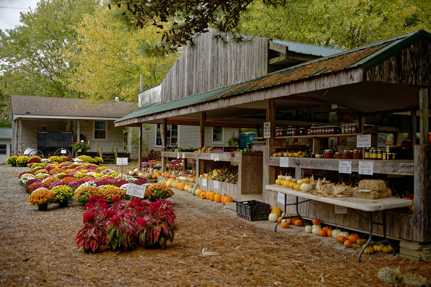 Amish Stores What A Variety They Have - Amish of Ethridge