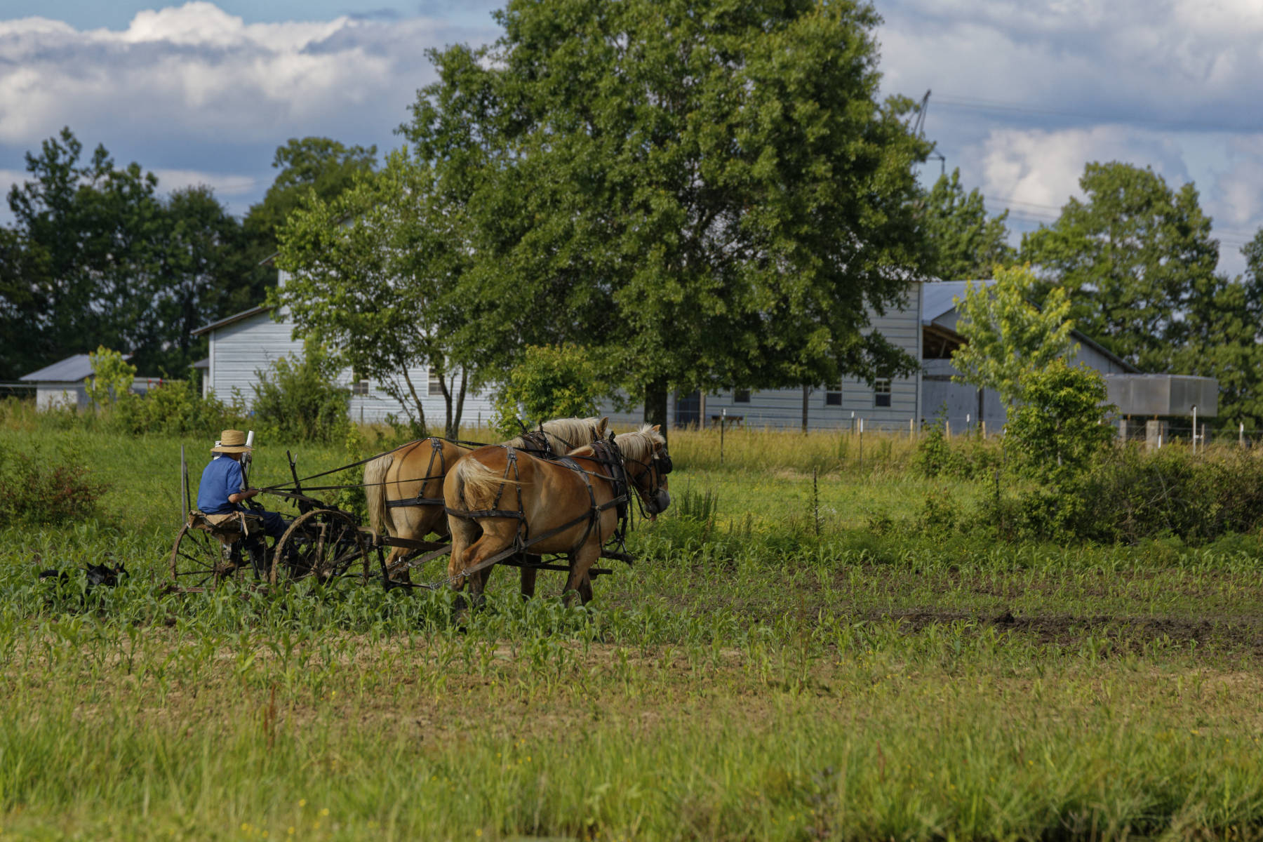 Do The Amish Object To Being In Photographs - Amish of Ethridge