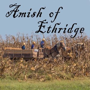 The Difference In The Amish Dutch Languages - Amish of Ethridge