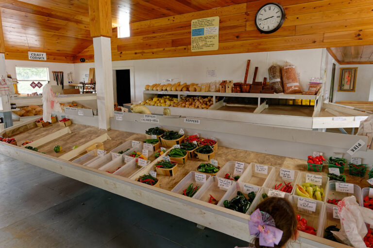 Amish in Tennessee - Amish of Ethridge