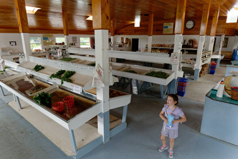 Amish in Tennessee - Amish of Ethridge