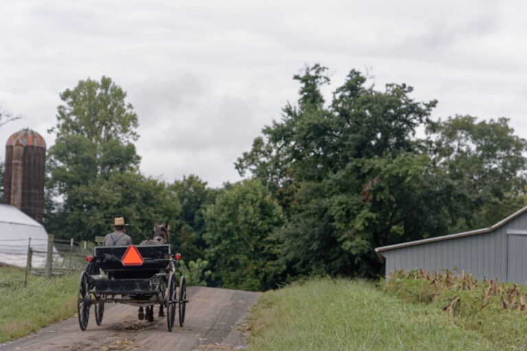 Amish in Tennessee - Amish of Ethridge