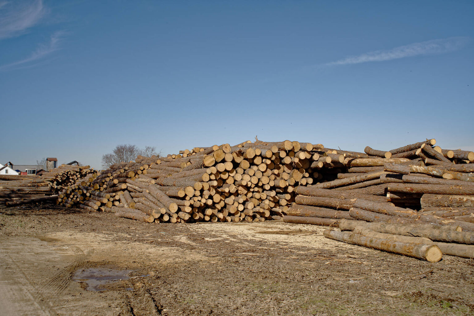 Amish Sawmills - Amish of Ethridge